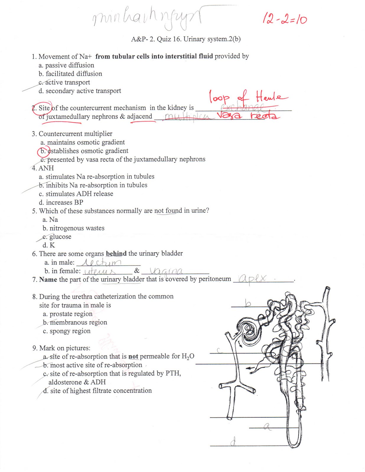 CO THE HOC: Human Anatomy and physiology II quizes