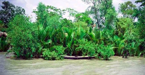 Wonders Of The World: World Heritage of the Sundarbans, all of us pride