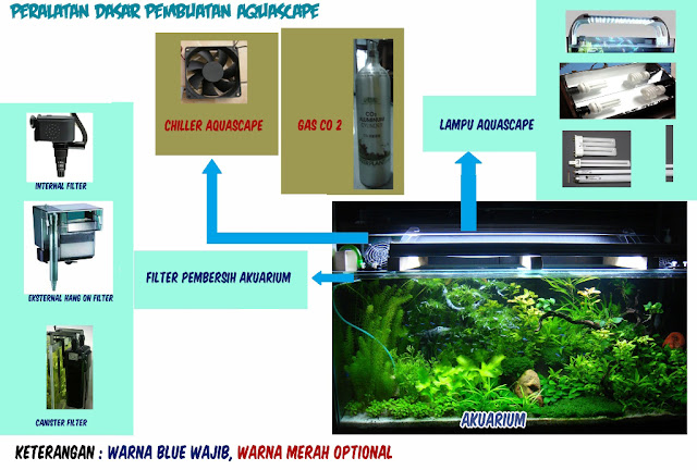 Hobi Mancing-Contoh Gambar Aquascape dan Jenis Tanaman -Mancing Mania ...