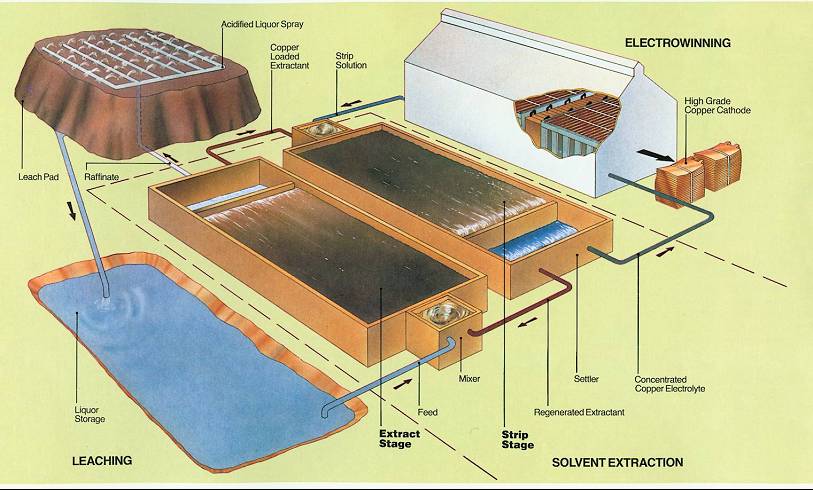 Planta Merril Crowe : Planta Merril Crowe