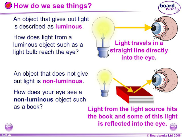 Science8: Semester 1, Chapter 8 - Light