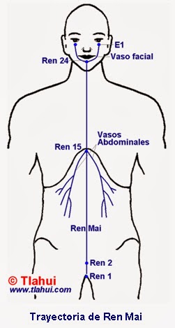Para Zusanli: Puntos Luo; vasos, canales o ramificaciones colaterales LUO