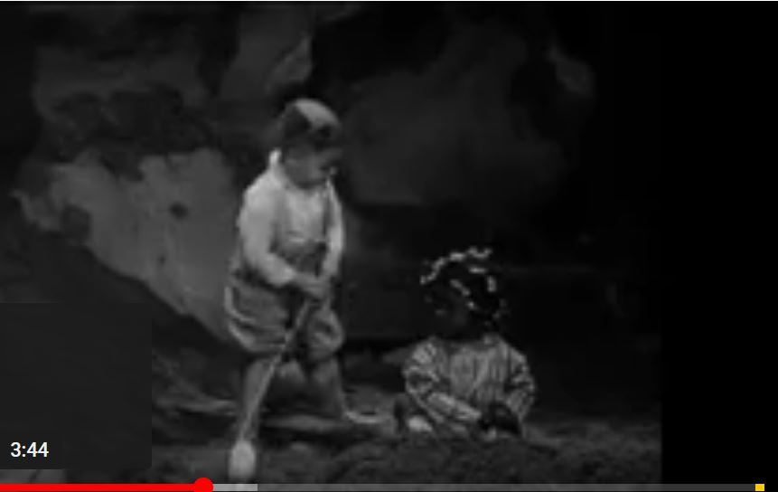 Buckwheat Kitchen Garden all about growing and using buckwheat : Two ...