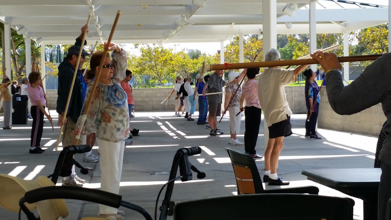 Life in the LinOhana: Longevity Stick exercise class