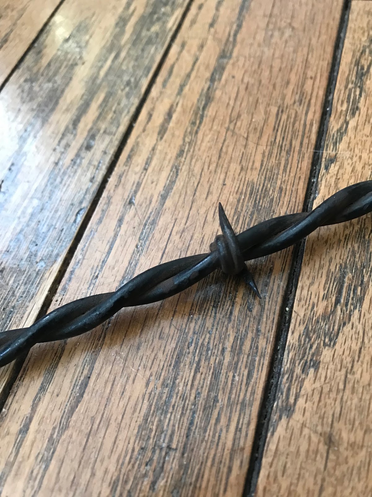 A Twist in History: Haish cane finds its way to Haish family