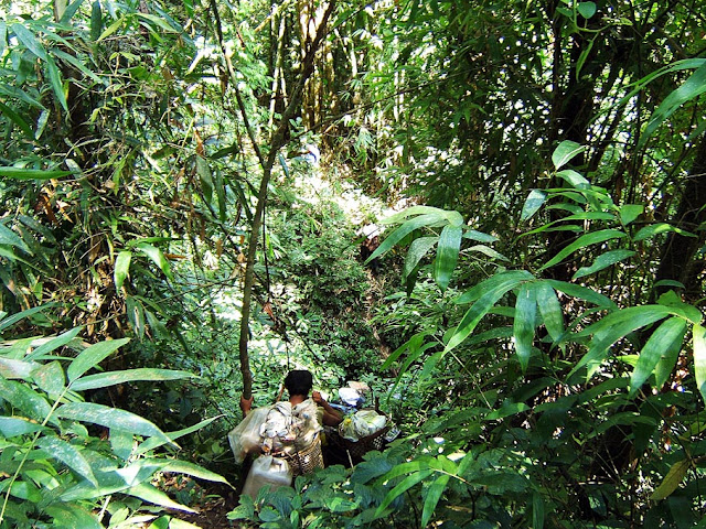 Myanmar National Park Adventure