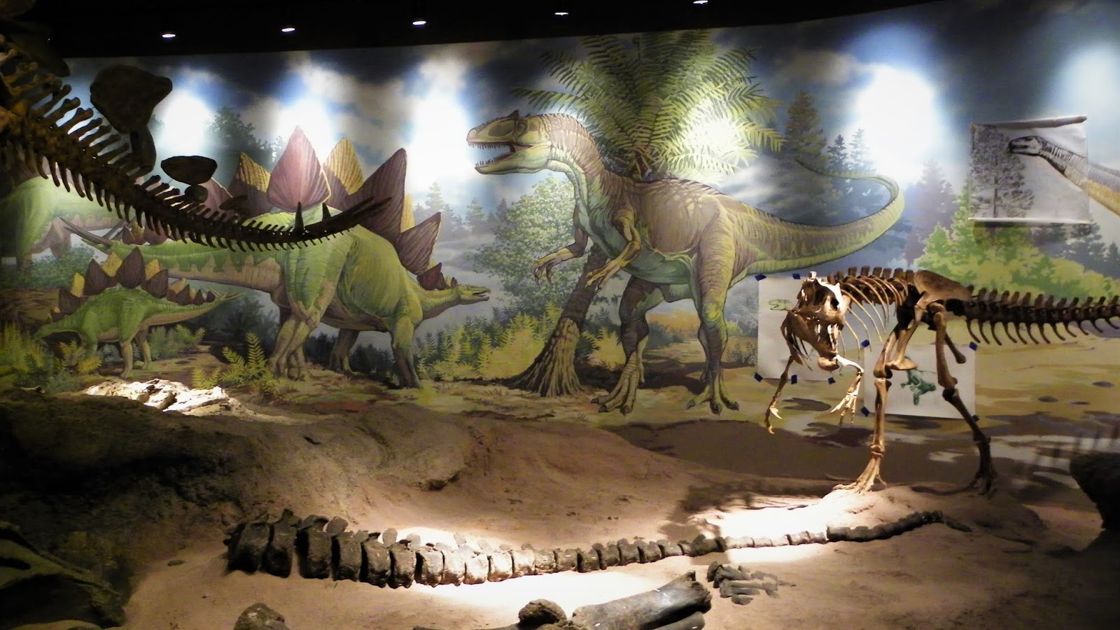 BONE ROOMS: April 2017