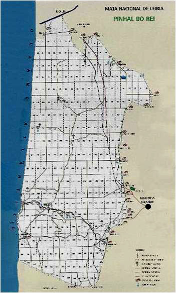 Mata Nacional de Leiria/Pinhal do Rei