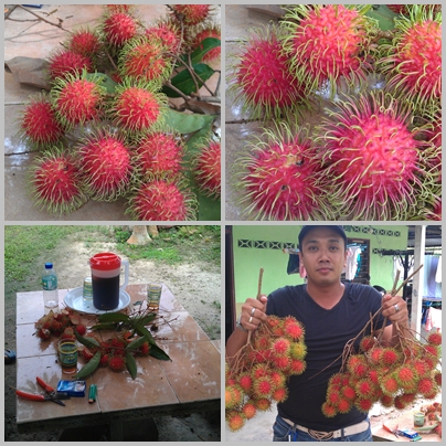 Engineering Team: Rambutan Malaysia