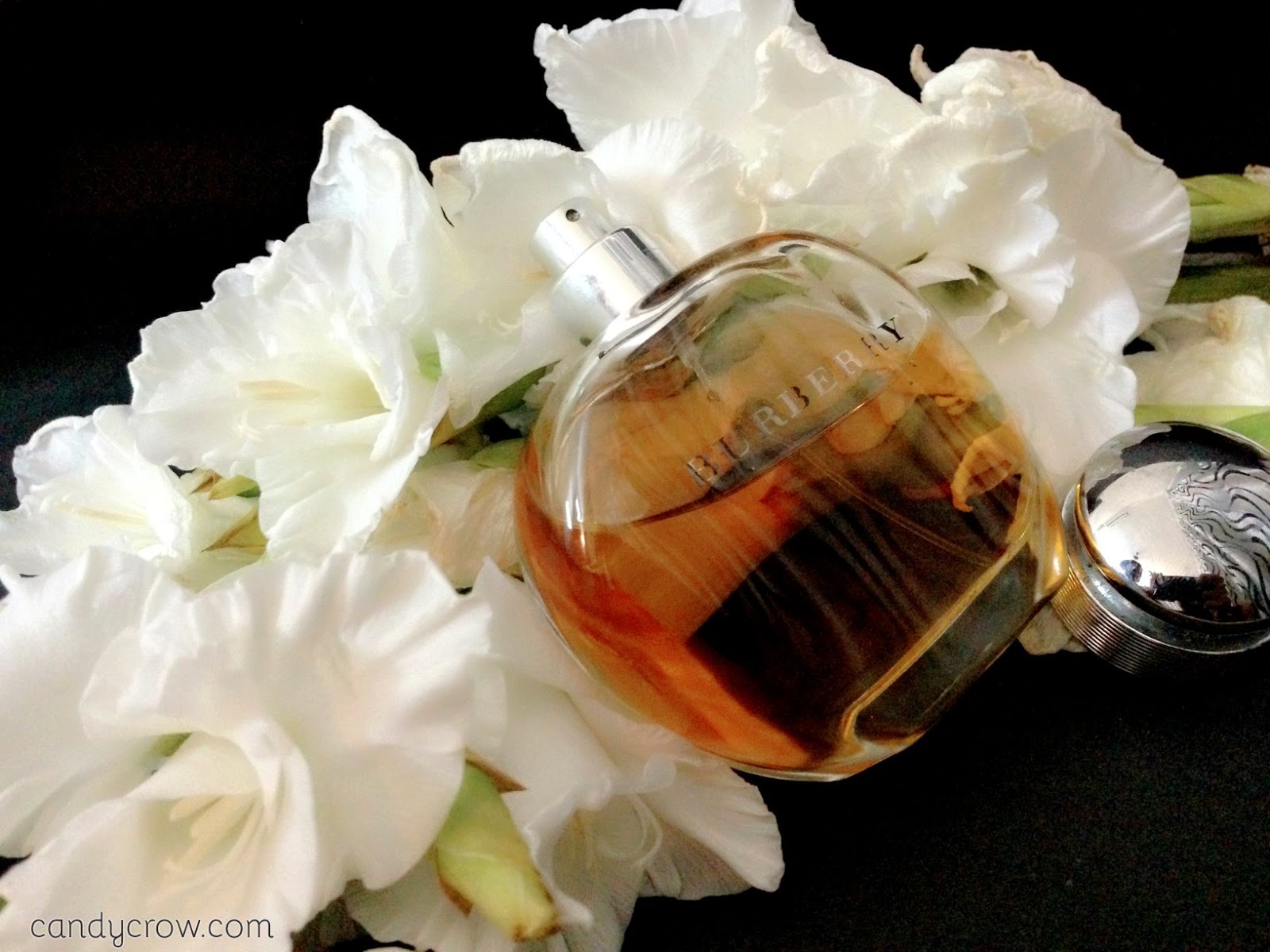 Burberry Classic Review - Candy Crow