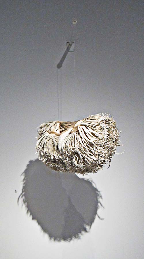 Jennifer Coyne Qudeen: January 2015