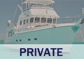 Nordhavn Sales Blog: Nordhavn 35 For Sale