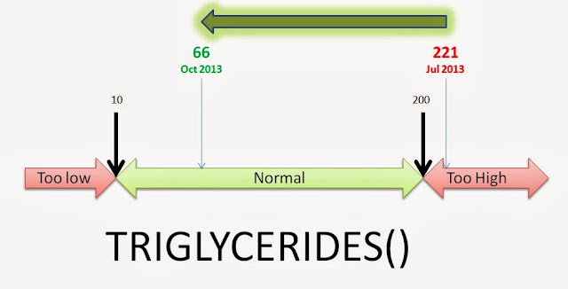 My Metabolic Syndrome: My superior vegan nutrition blood tests results