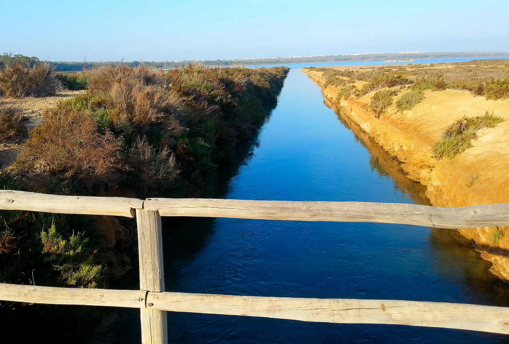 Parque de la Laguna Salada de La Mata y Torrevieja