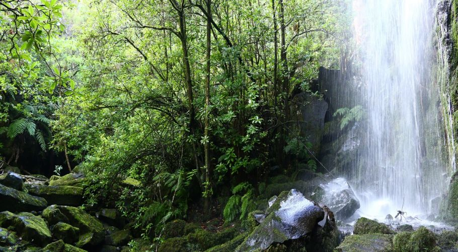 Levada dos Cedros PR14 - Madeira Turismo - Tourist Guide to the Island ...