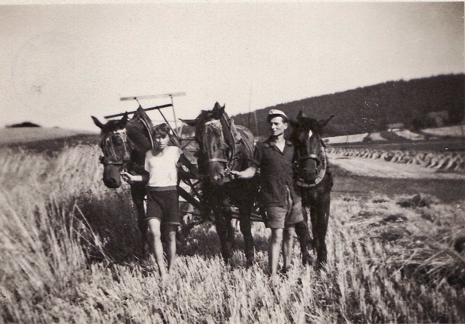 Rozhledy 010: Sedlák viděný veřejností před 80 lety a dnes.