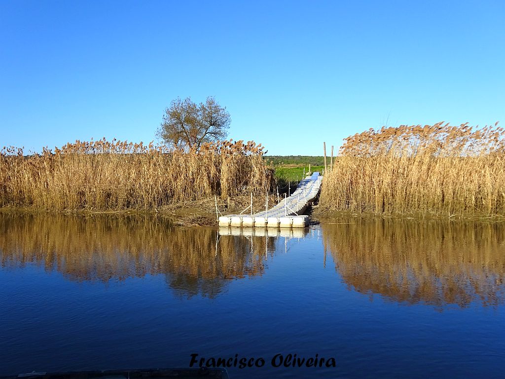 Andarilhar: Rio Sado em Vale de Guizo