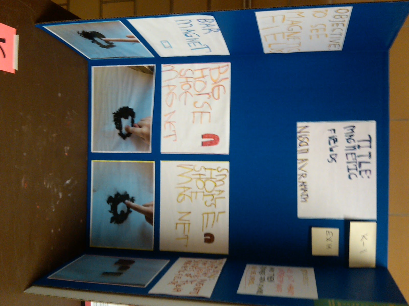 Principal's Blog: A Sea of Science Fair Projects