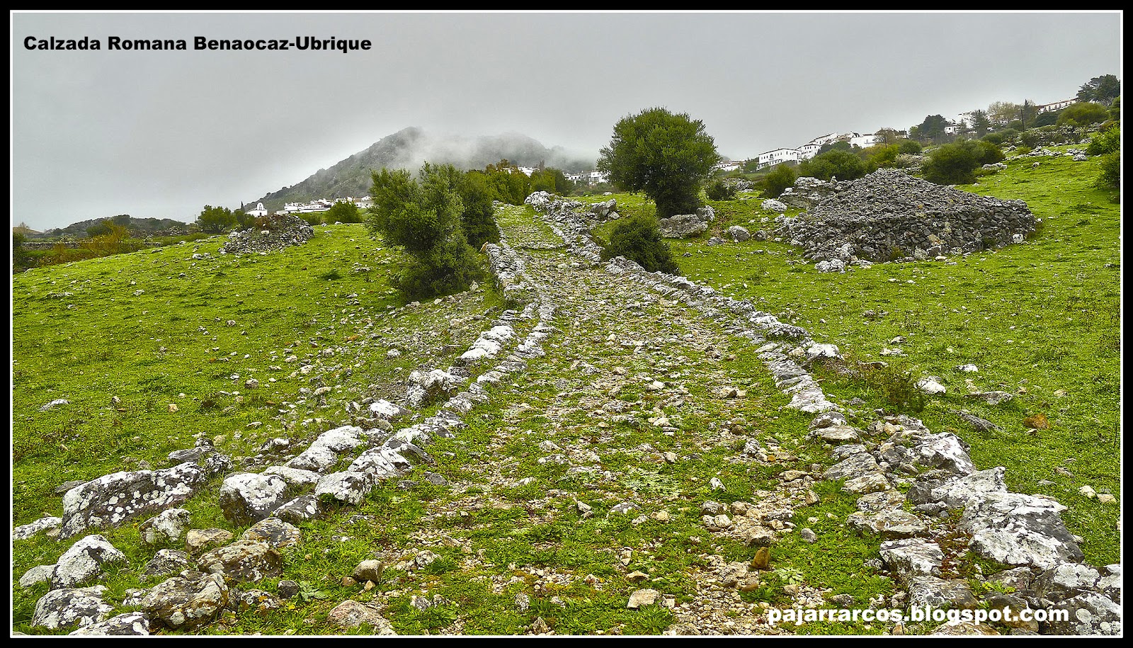 PajarrArcos: Calzada Romana Benaocaz-Ubrique