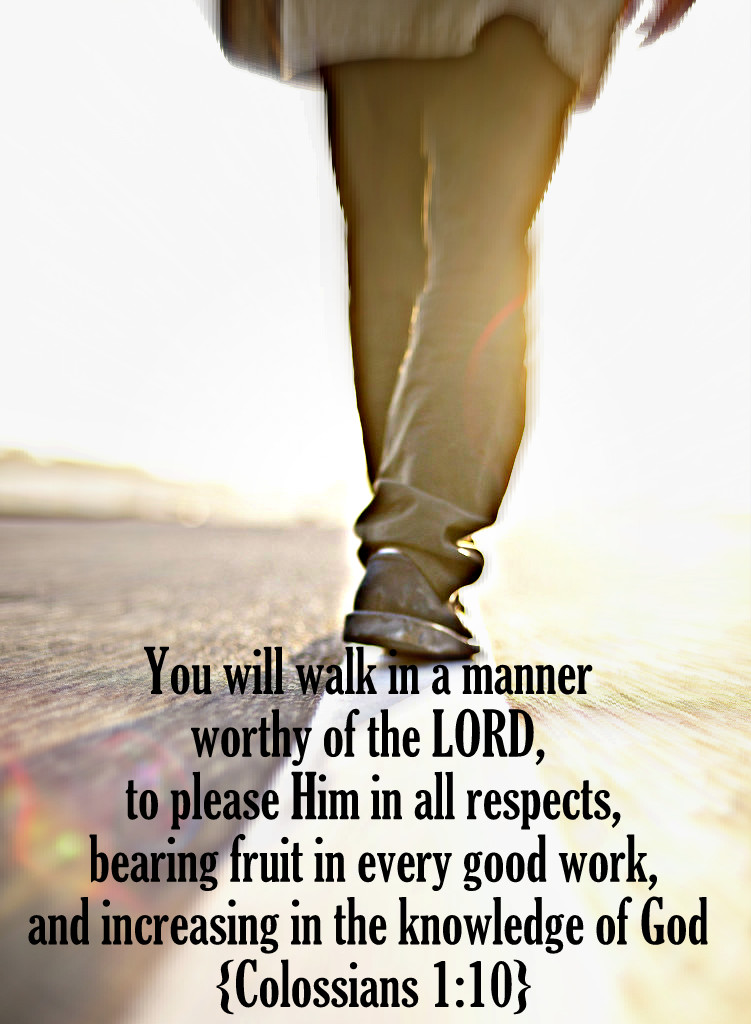 Our Long Journey - Spiritually, Healthy, and much more...: Walk in a ...