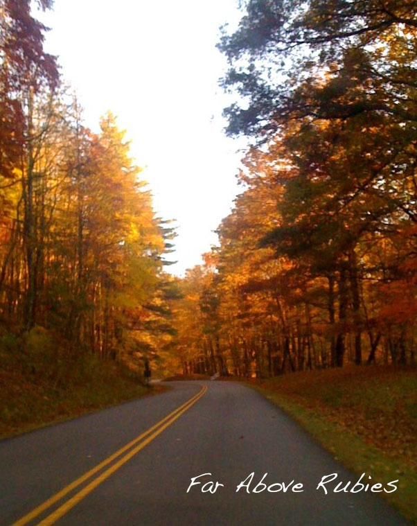 Fall is coming... - Whispering Pines Homestead