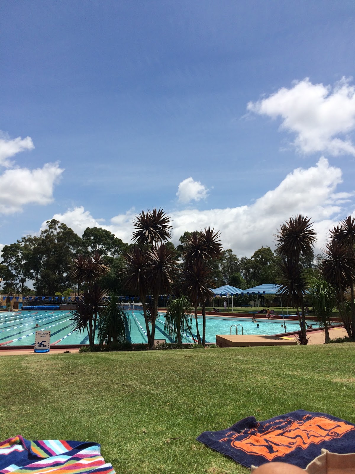 Swimming: Roselands Aquatic centre