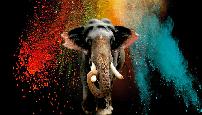 Pambady Rajan HD photos - Kerala elephant Pambady Rajan hd images