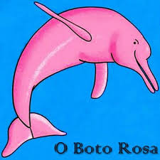 PLANETA AGUA: LA LEYENDA DEL BOTO (selva amazónica)