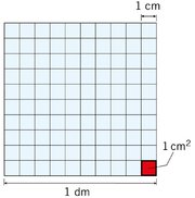 la breda in rete: 2A - Costruiamo il metro quadrato