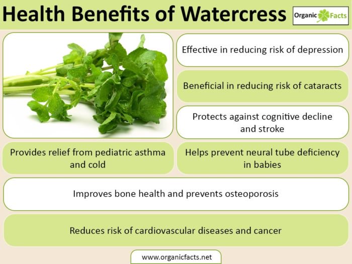 rainbowdiary: Watercress Health Benefits