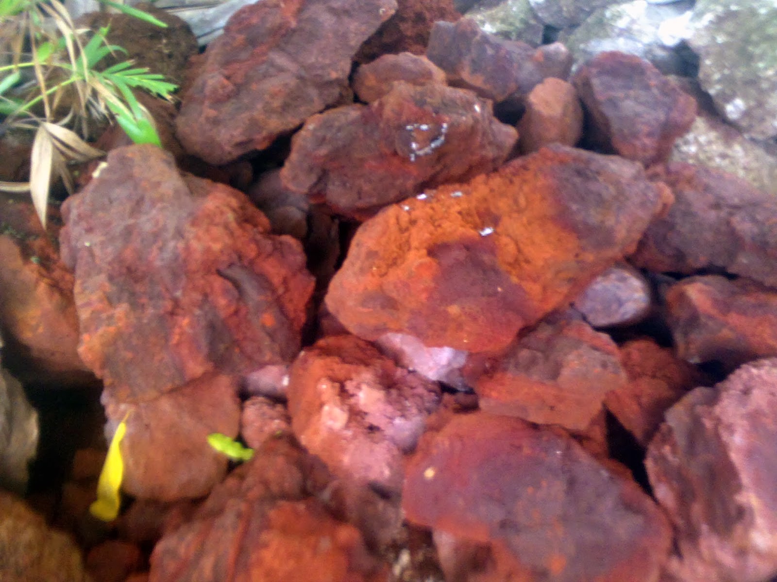 BATU ALAM DUTA GRAGE 0812-83-790-790 / 0853-2002-2232: BATU KARANG ...