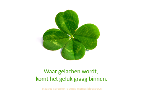 Plaatjes met grappige quotes en afbeeldingen met mooie spreuken om te ...