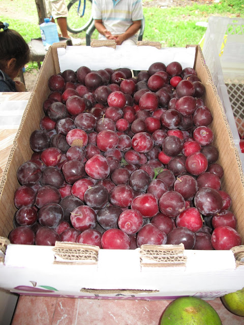 Strange Fruits: Tamarind Or Tambran Pods & Three Cheers for Fruit ...