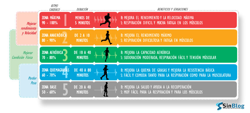 Departamento de Educación Física I.E.S. Almina : EL PULSO CARDÍACO