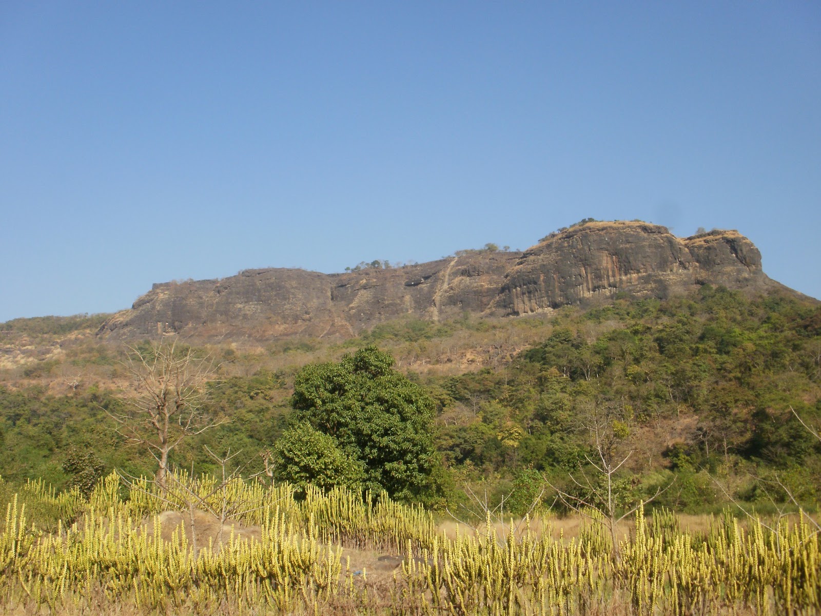 Anurag's Corner: AvchitGad-Birwadi Fort-GhosalGad-TalaGad-Kuda Caves ...