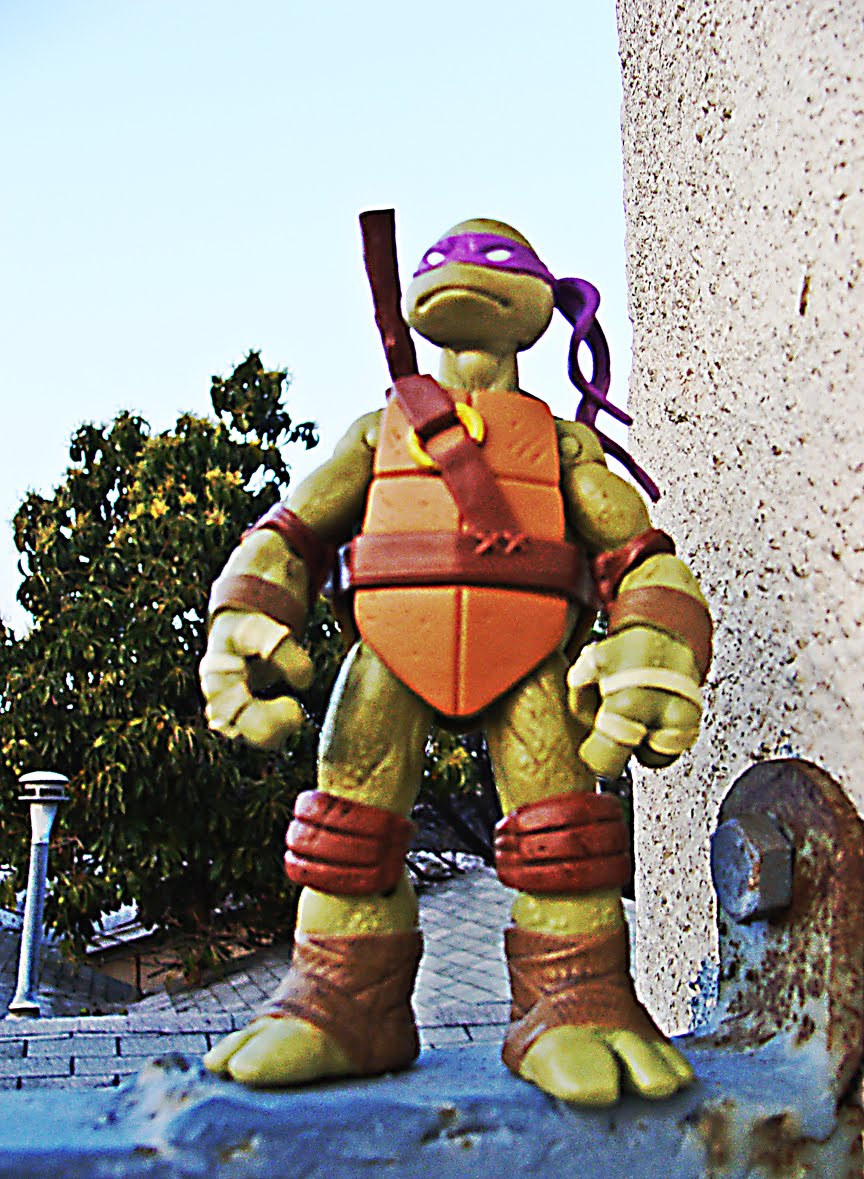 .: Teenage Mutant Ninja Turtles Toy Fair 2012 Exclusive