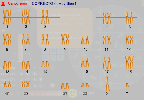 Grupo 6 Biología y Geología María y Zakia : Análisis de Cromosomas