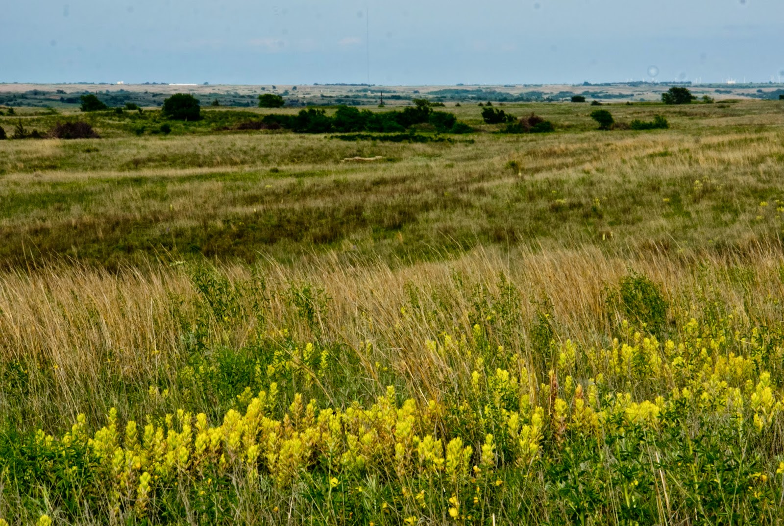 The Kansas Outback: Spectacular Spring