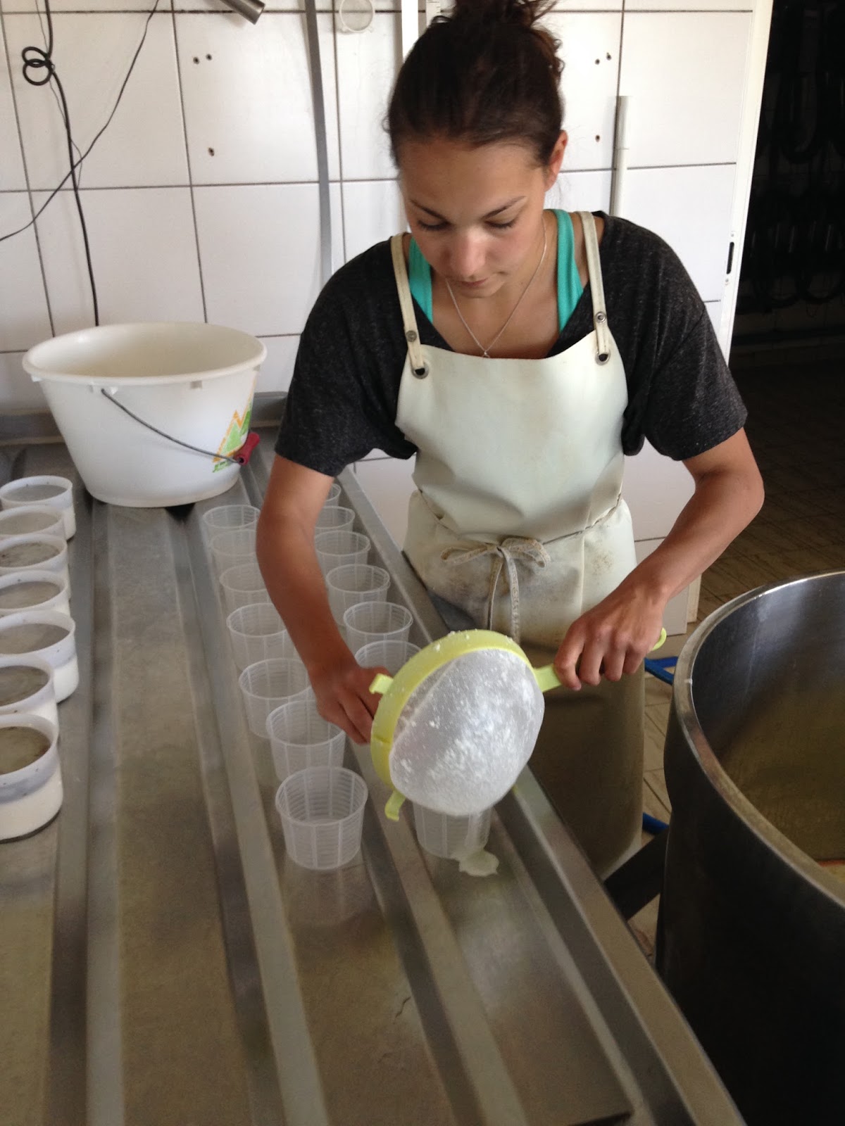 La Laiterie de Paris : La fabrication du chevrotin et du sérac en alpage