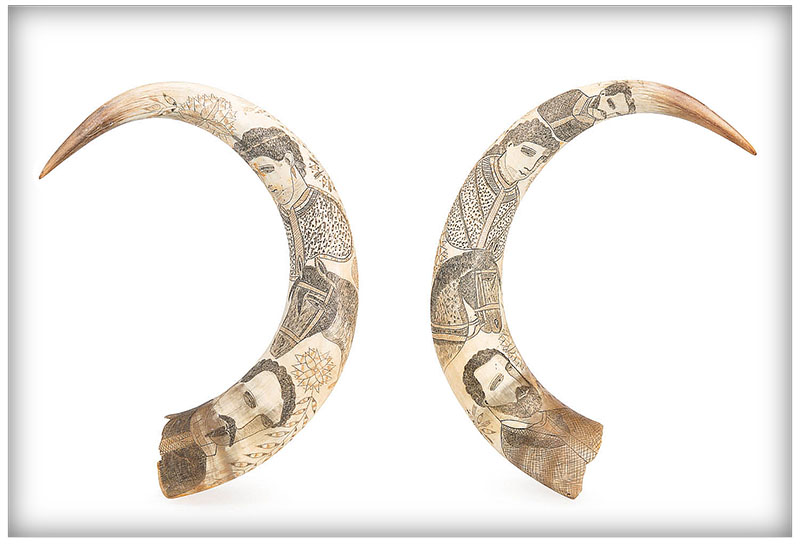 zingHOUSE Horn And Bone: AUSTRALIAN HORN SCRIMSHAW