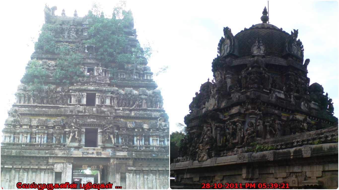 Tiruvilanagar - Exploring My Life