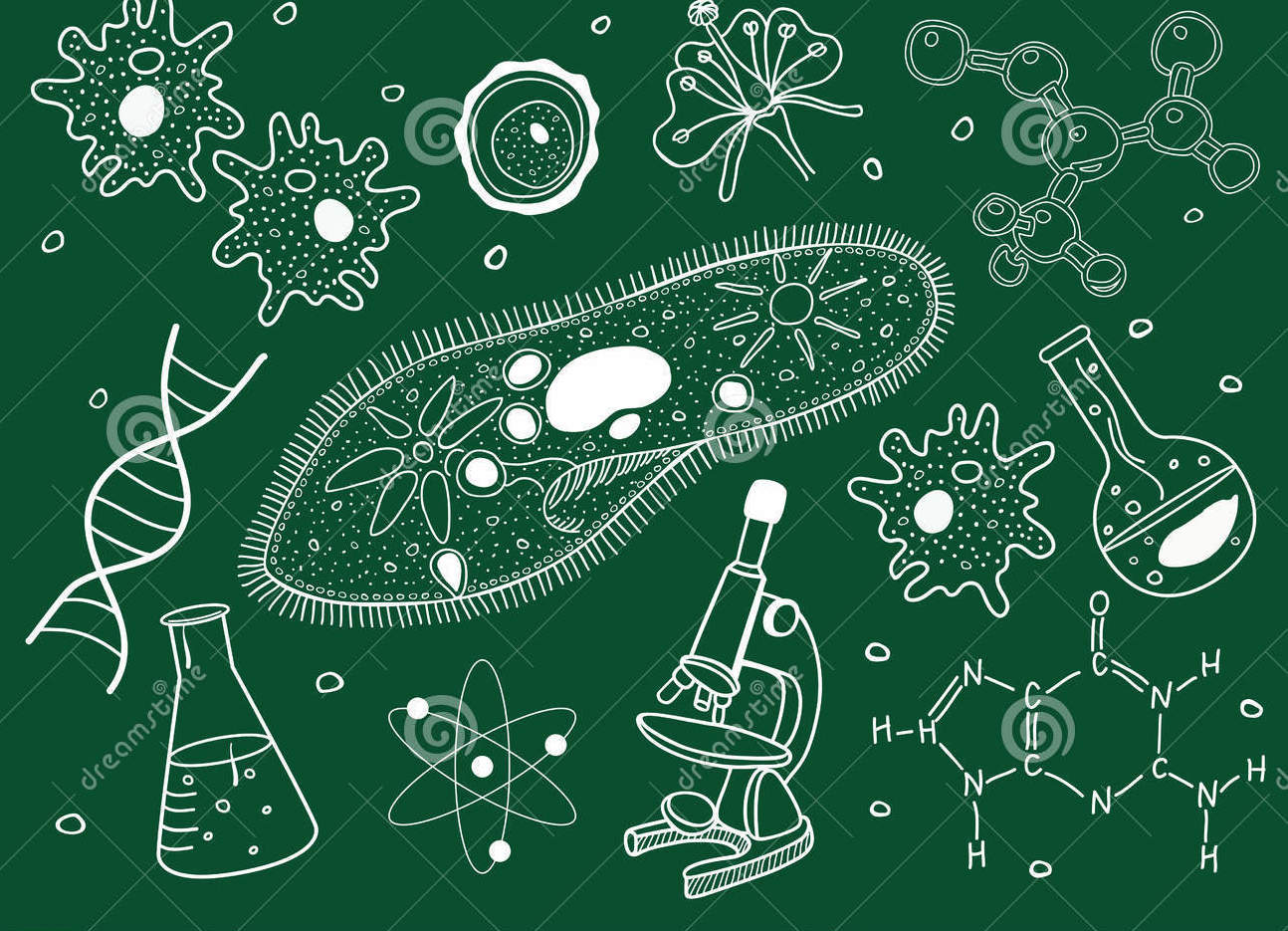 Ciencia Divertida : Definición