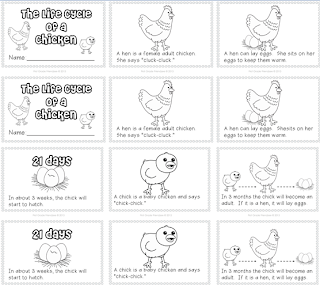 First Grade Friend-Zee!: Spring Chicks!