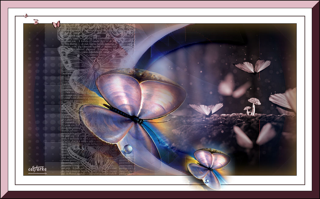 Le blog de Libellule: Morpho bleu