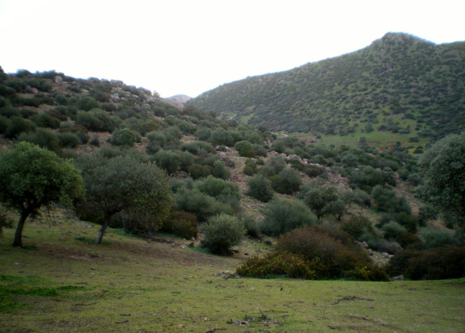 Club de Senderismo Los Escuderos de Rus (Jaen): CERROS MERLIN, DEL ...