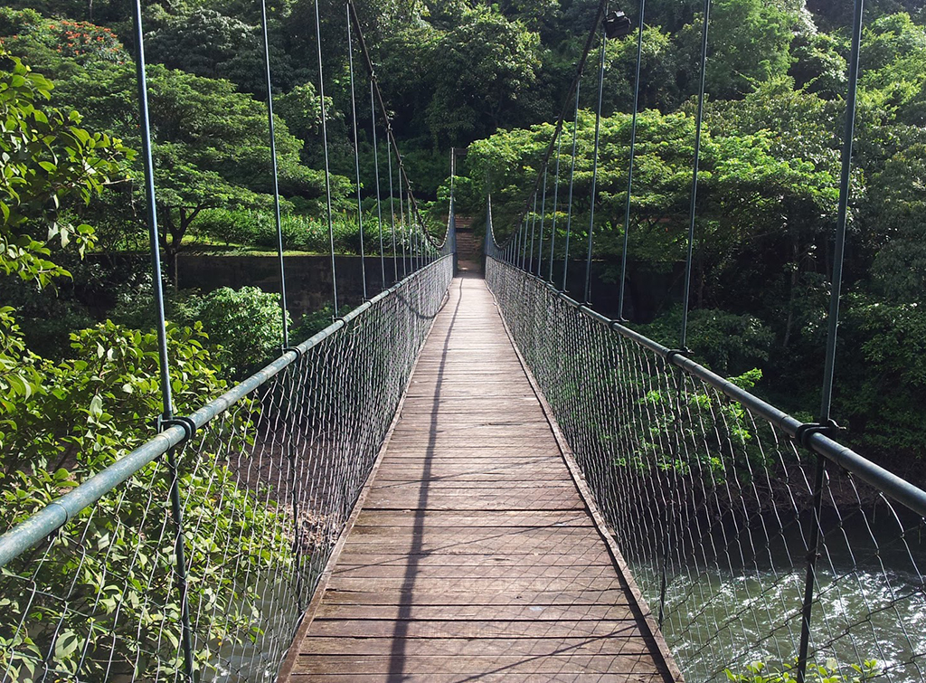 Thenmala - Dam City of Kerala