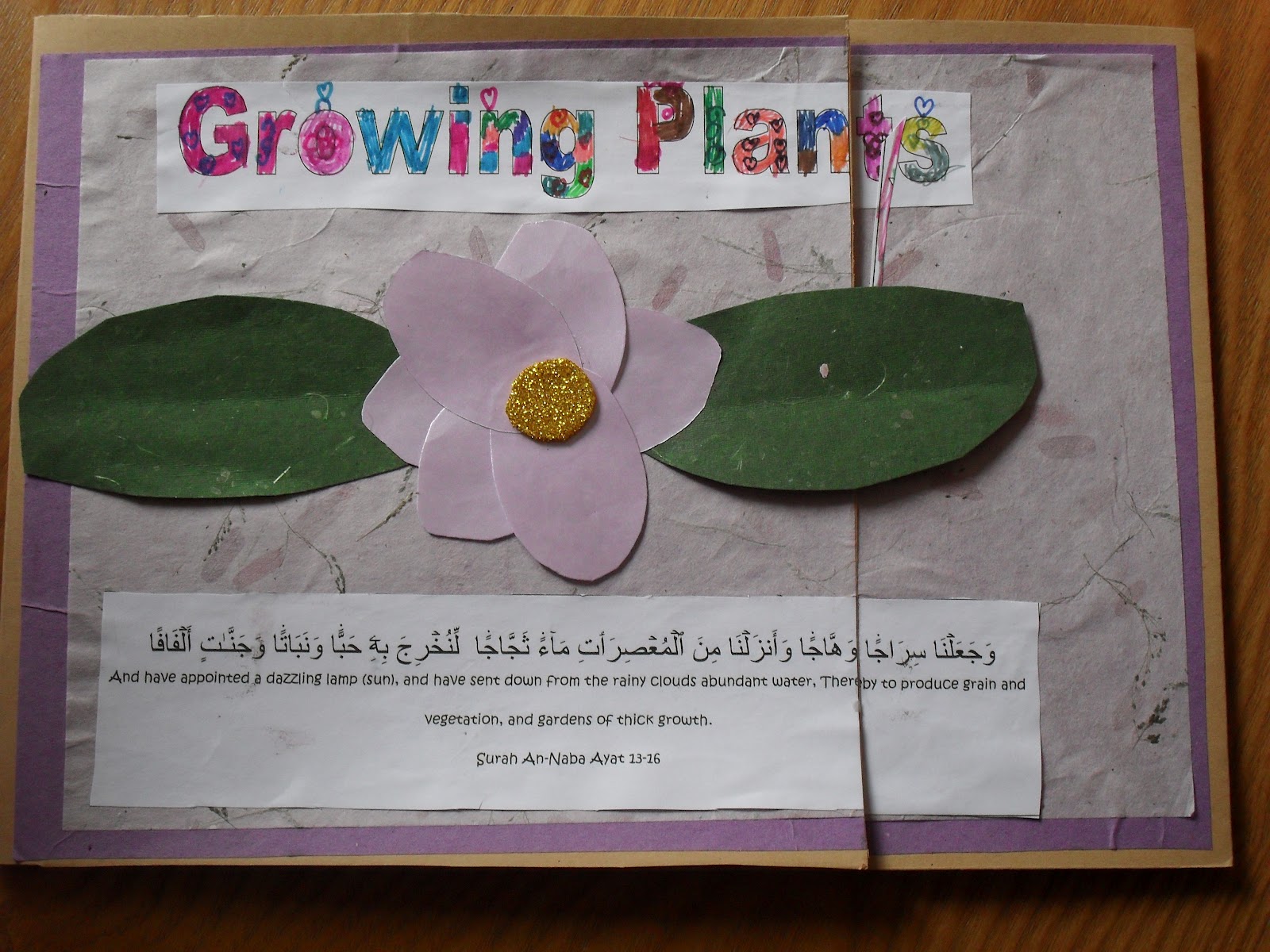 a muslim homeschool: Growing Plants Lapbook....made a start!