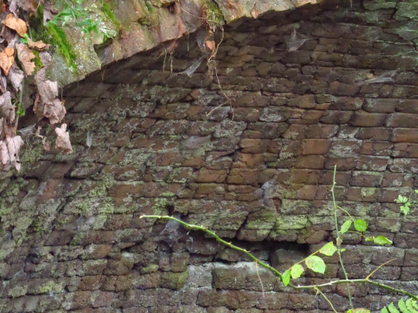 Old Industry of Southwestern Pennsylvania : Southwest No. 3/Tarrs, PA