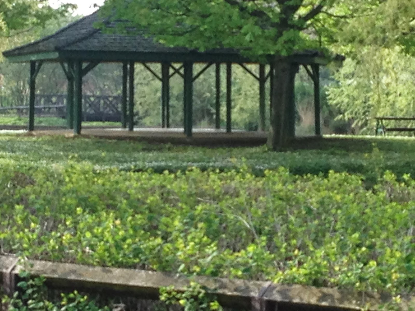 Redcar, North Yorkshire, UK.: Pictures of Locke Park, Redcar. Sent in ...