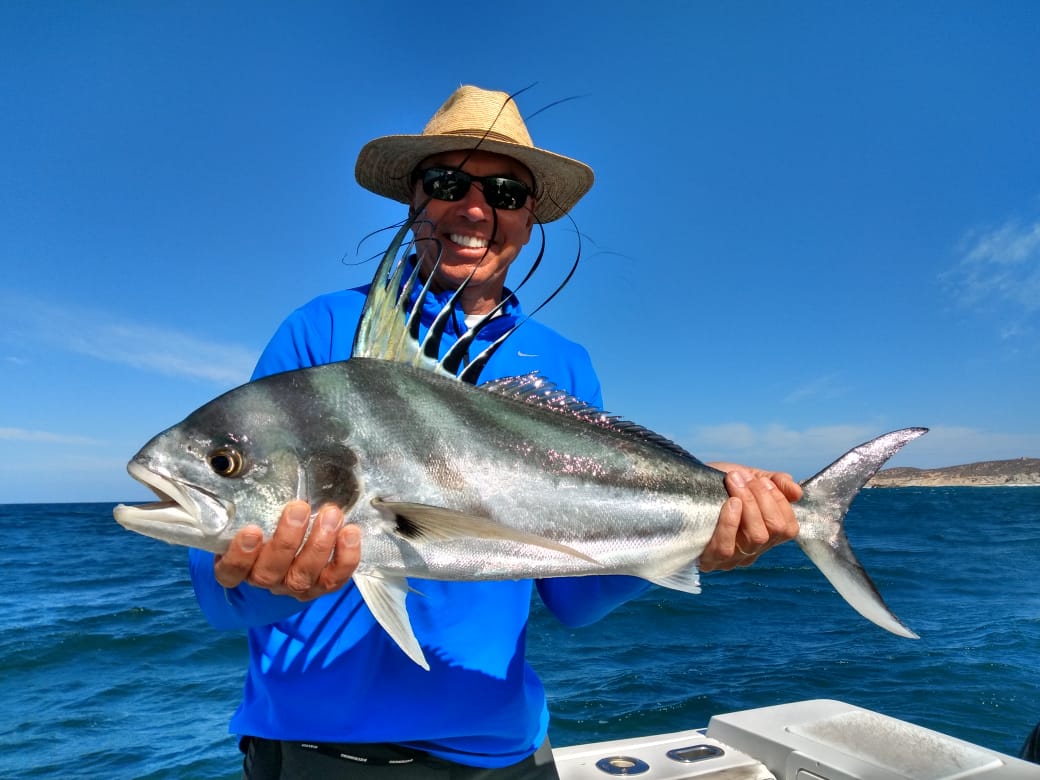 Roosterfish Photos